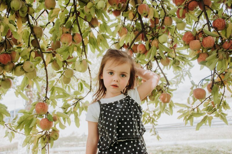 What Do I Do First When It ALL Seems Important? {Thoughts on Priorities}